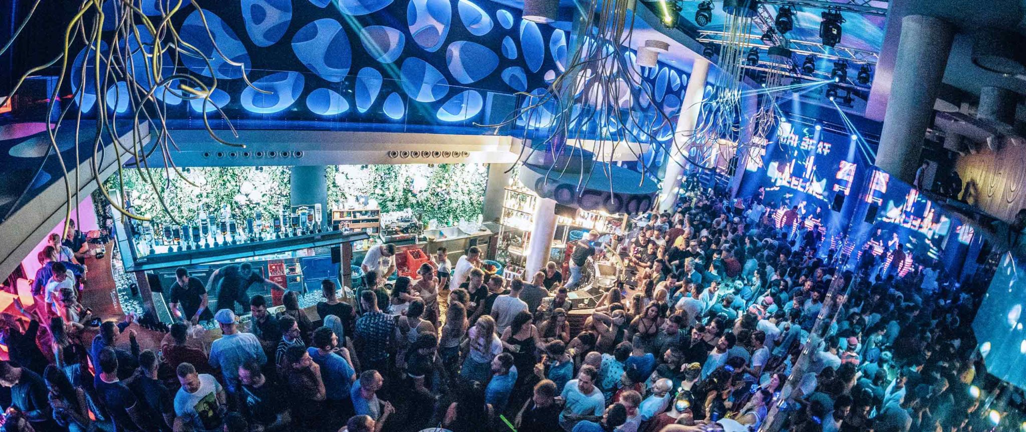 Cocomo – Cocomo Club – since 1992